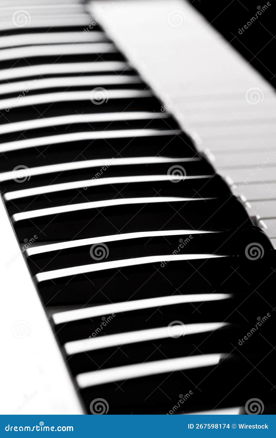 Vertical Shot of the Piano Keys Stock Photo - Image of sound, keys ...