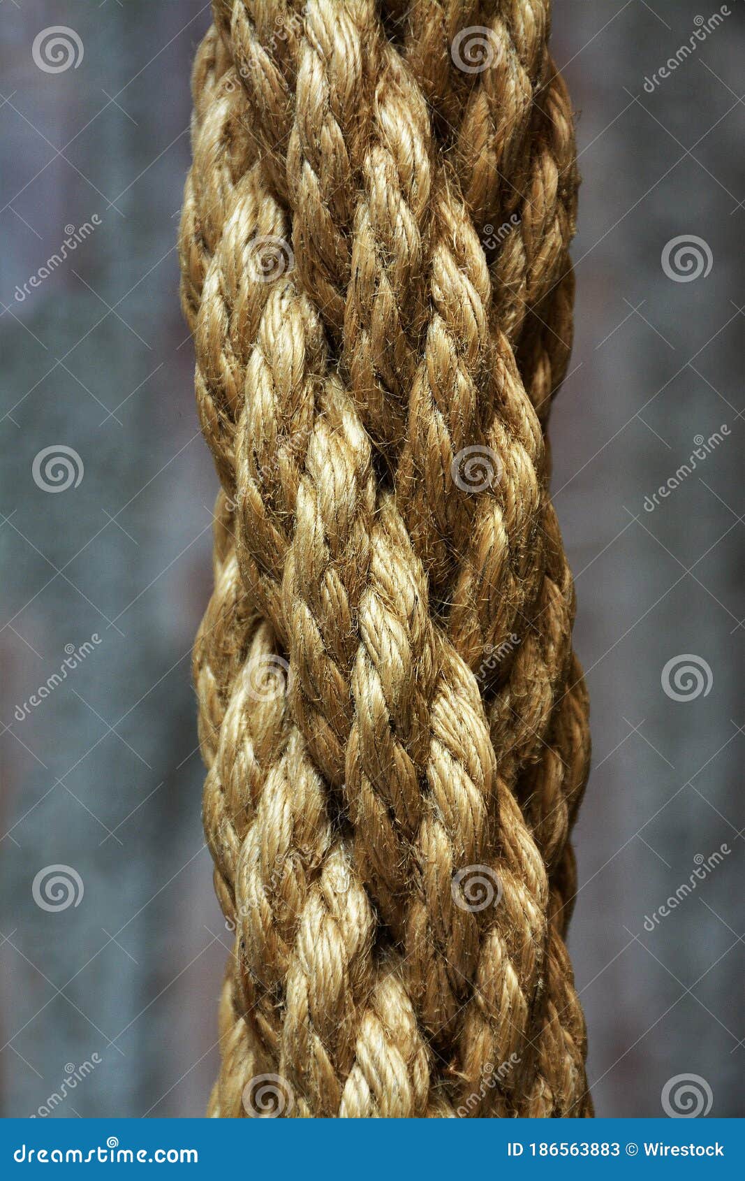 Vertical Shot of a Piece of Rope Braided on a Blurred Background Stock ...
