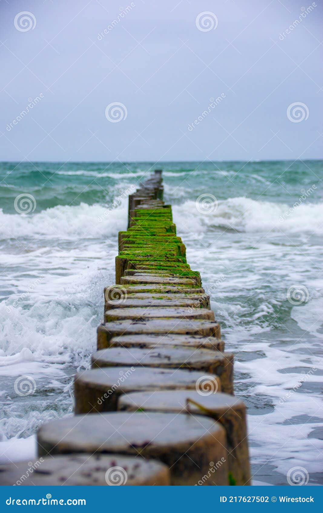 Vertical Shot of a Pier Made with Tree Stumps Stock Photo - Image of ...