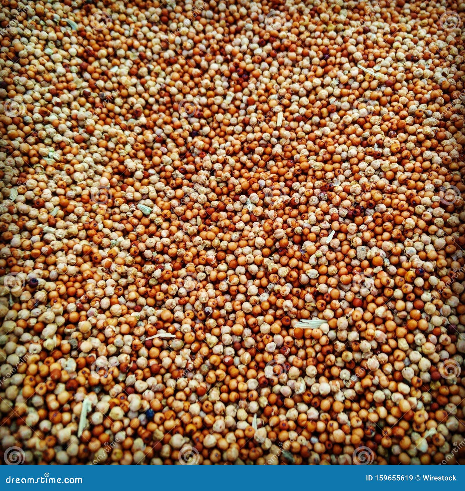 Vertical Shot of a Pile of Organic Mustard Seeds Stock Image - Image of ...