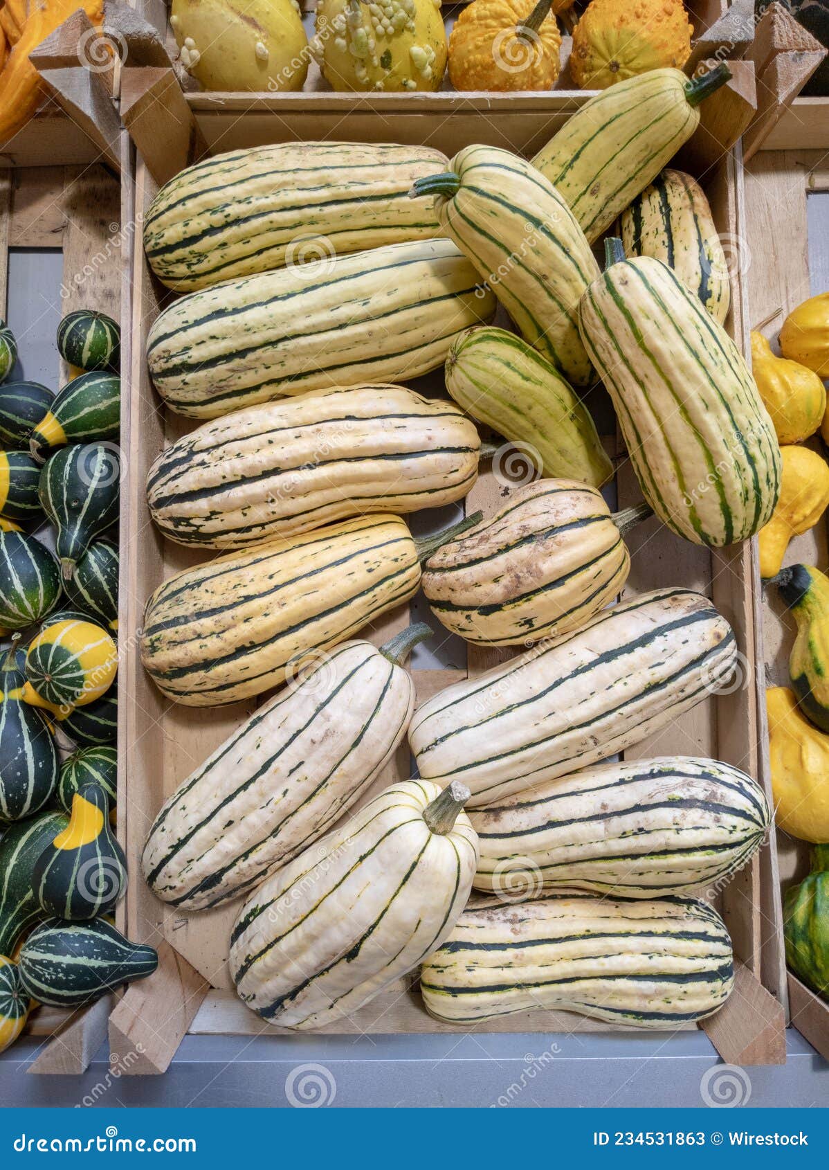Vertical Shot of a Pile of Striped Gourds in a Box Stock Image - Image ...