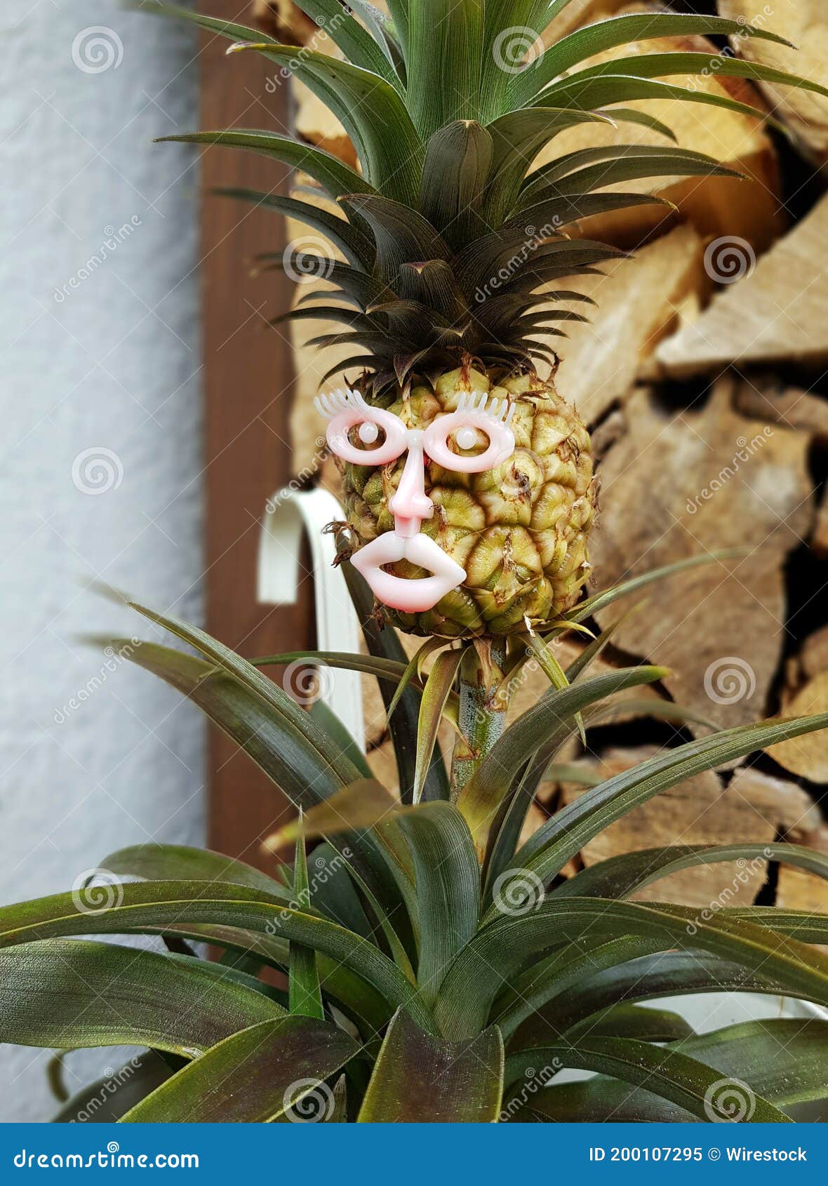 Vertical Shot of a Pineapple with Face Stock Image - Image of tasty ...