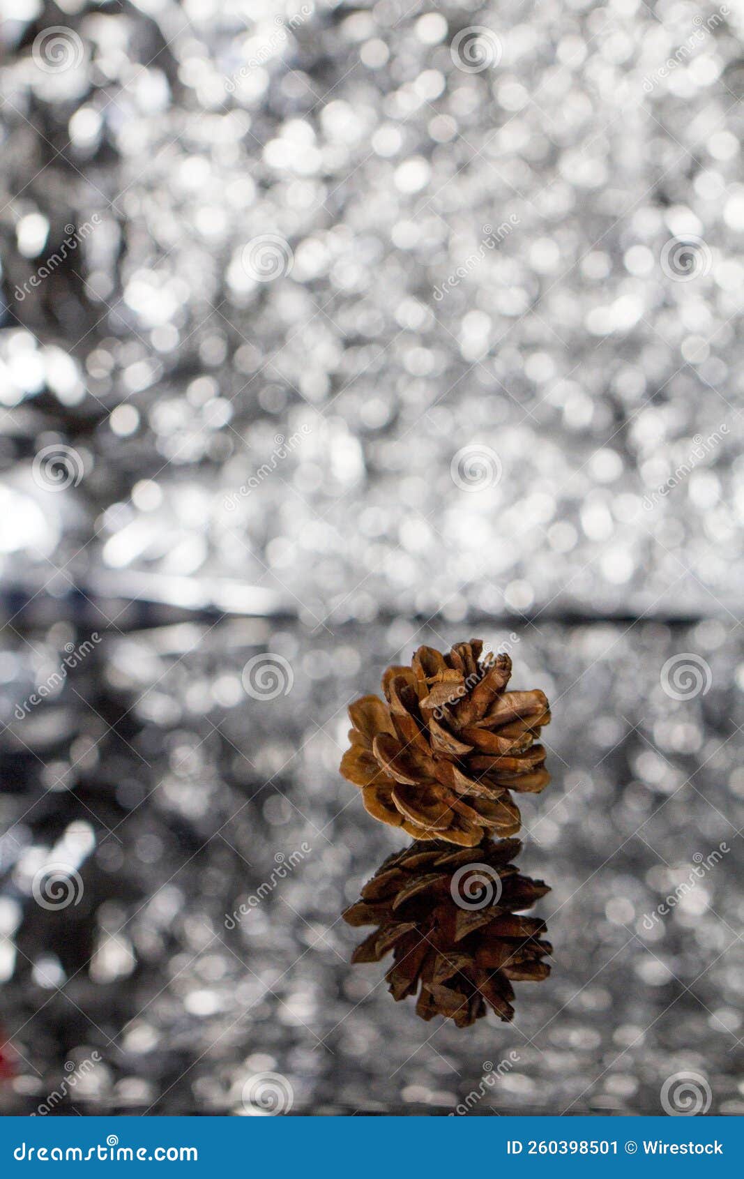 Vertical Shot of a Pinecone on a Sparkly White Background Stock Image - Image of tree, wallpaper ...