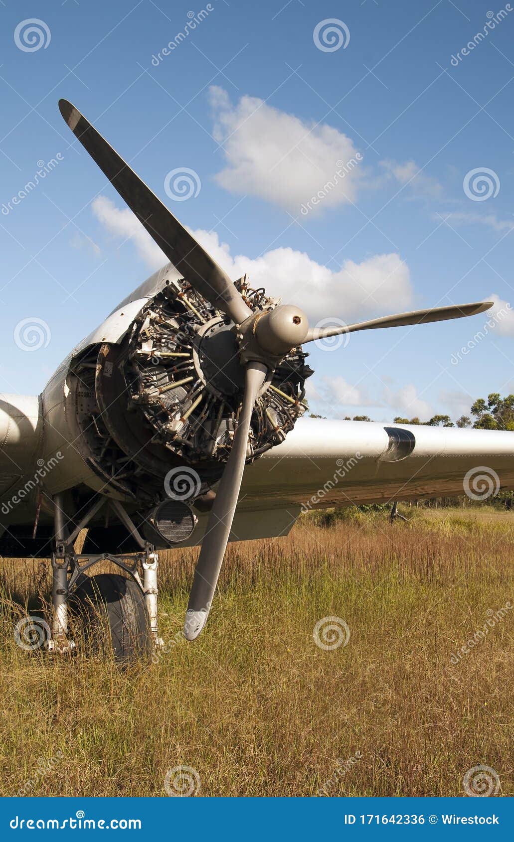 Vertical Shot of the Propeller of a Plane Landed on the Dry Grass Stock ...