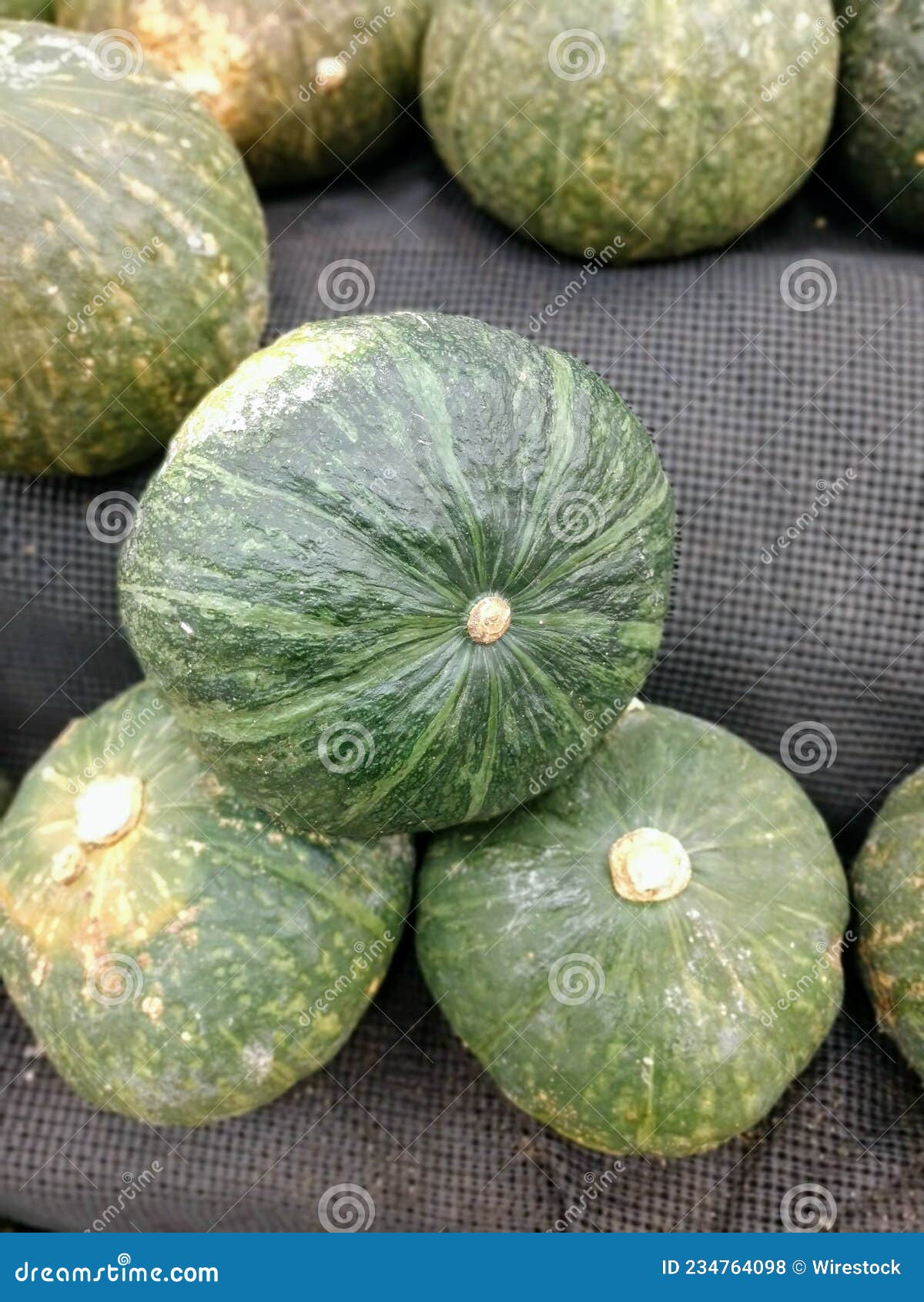 Vertical Shot of Pumpkins on a Black Surface Stock Photo - Image of ...