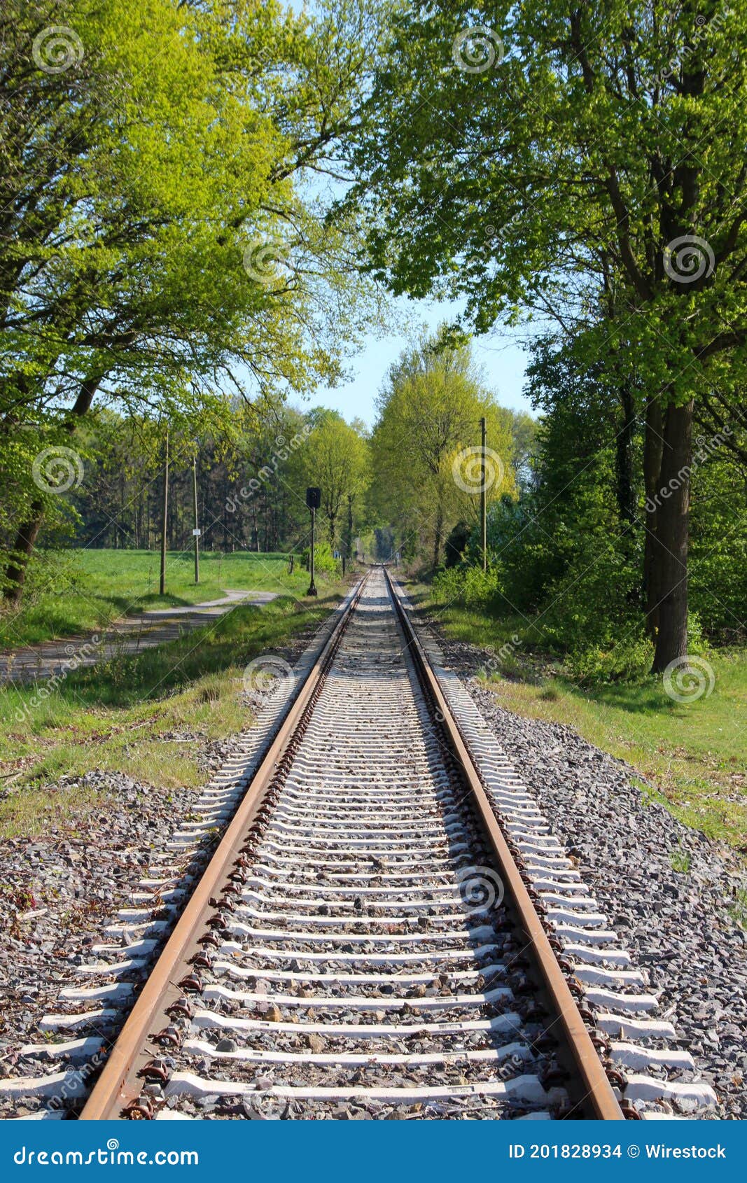 Vertical Shot of Railroad Tracks Surrounded by Trees Stock Photo ...