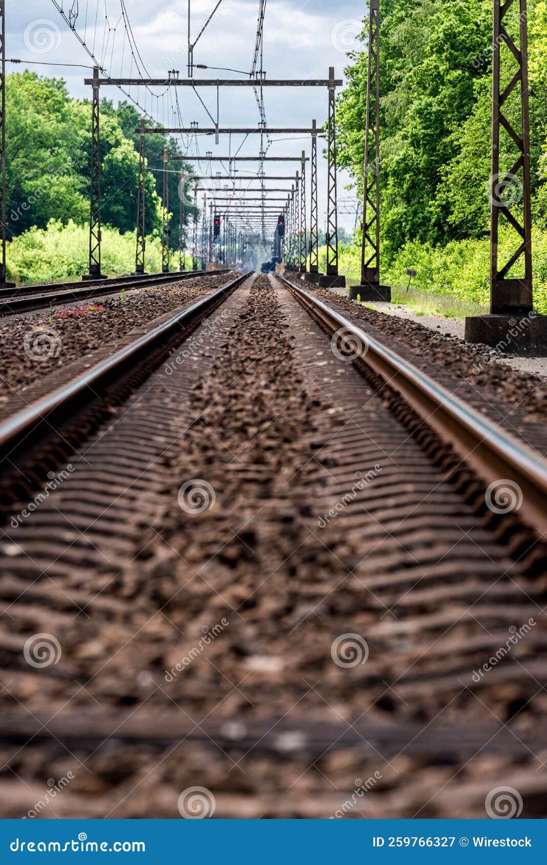 Vertical Shot of Railway Tracks Stock Image - Image of direction, trees ...