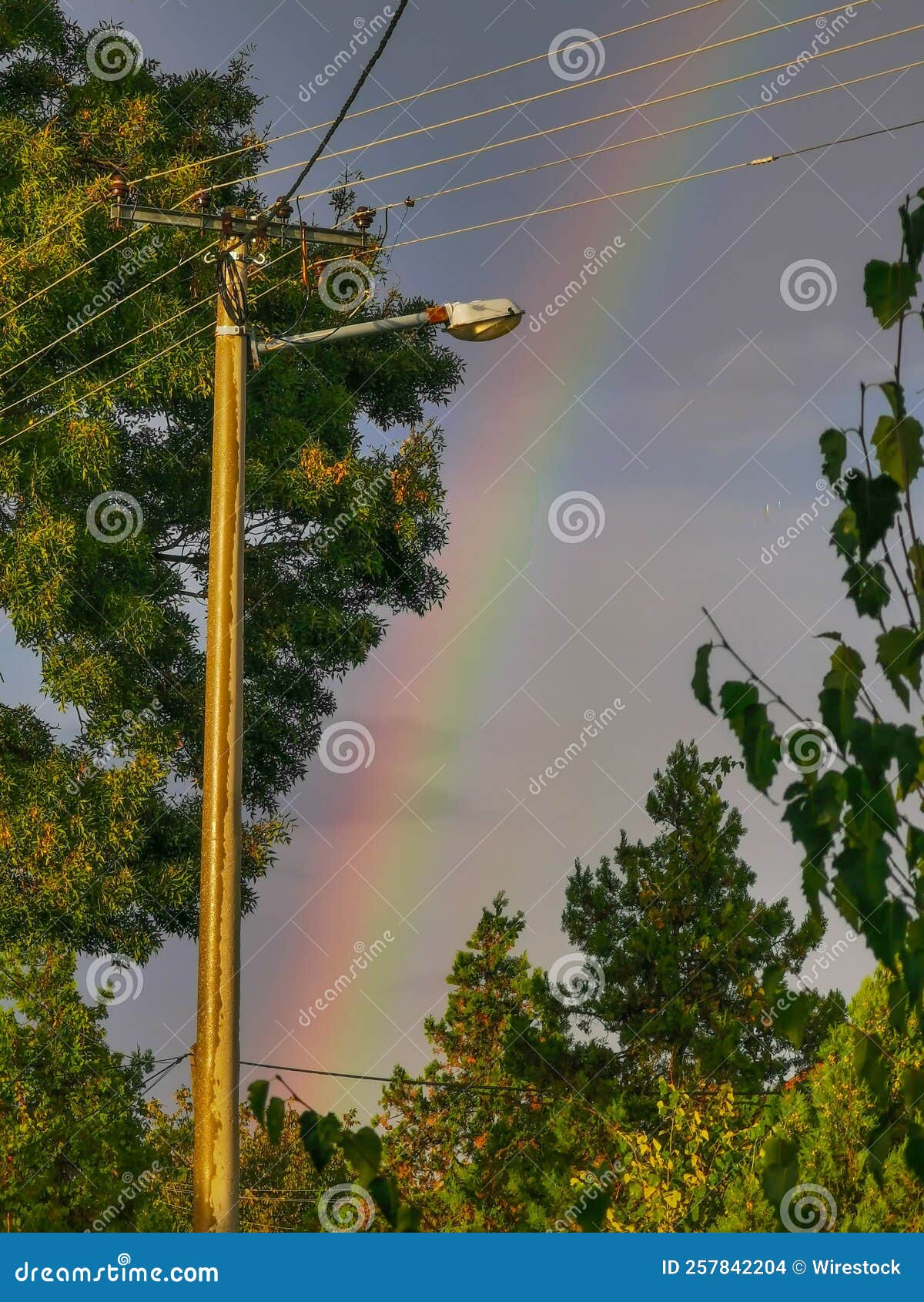 Vertical Shot of the Rainbow in the Sky Stock Photo - Image of beauty ...