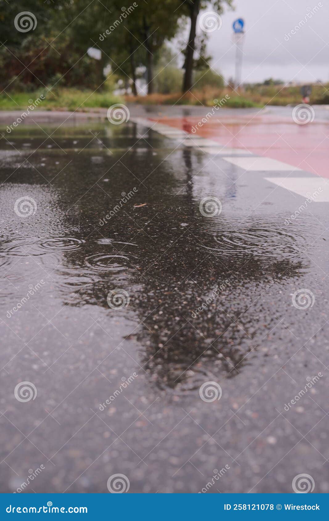 Vertical Shot of Raindrops Falling on the Ground in the Streets of ... Vertical Shot of Raindrops Falling on the Ground in the Streets of ...