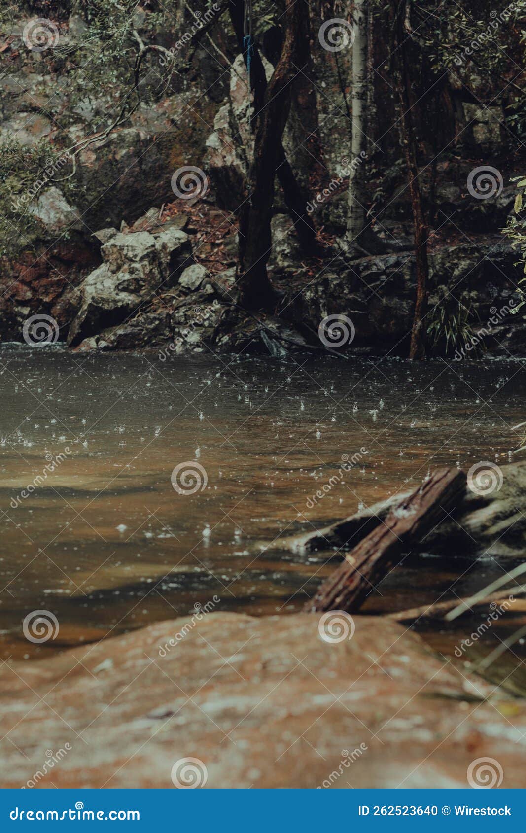 Vertical Shot of the Raindrops Falling on the Pond Stock Photo - Image ... Vertical Shot of the Raindrops Falling on the Pond Stock Photo - Image ...