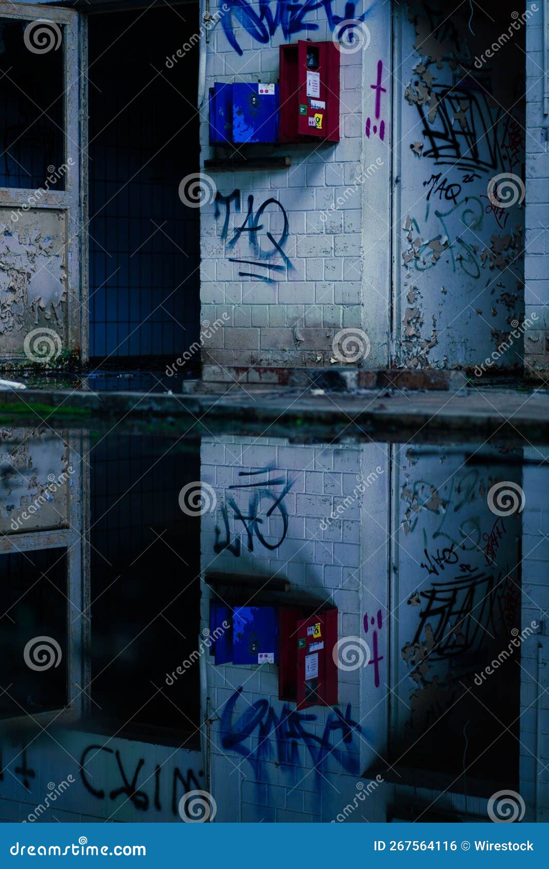 Vertical Shot of Random Graffiti on Rusty Tiled Wall Reflecting on ...