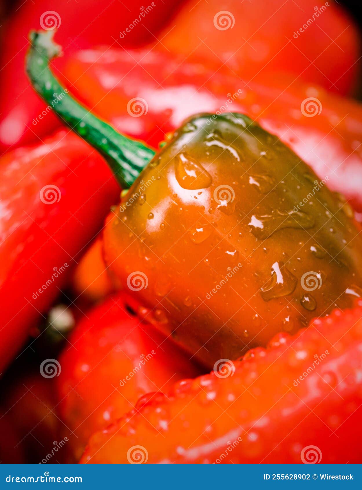 Vertical Shot of Red Chili Peppers with Water Drops Stock Photo - Image ...