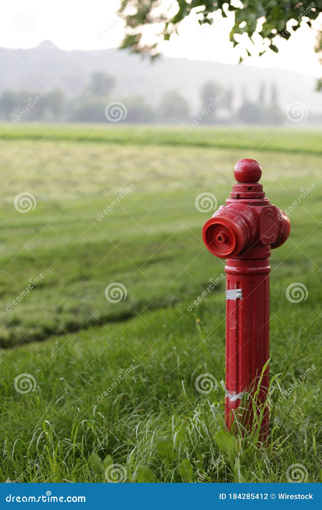 Vertical Shot of a Red Fire Hydrant in the Park Stock Photo - Image of ...