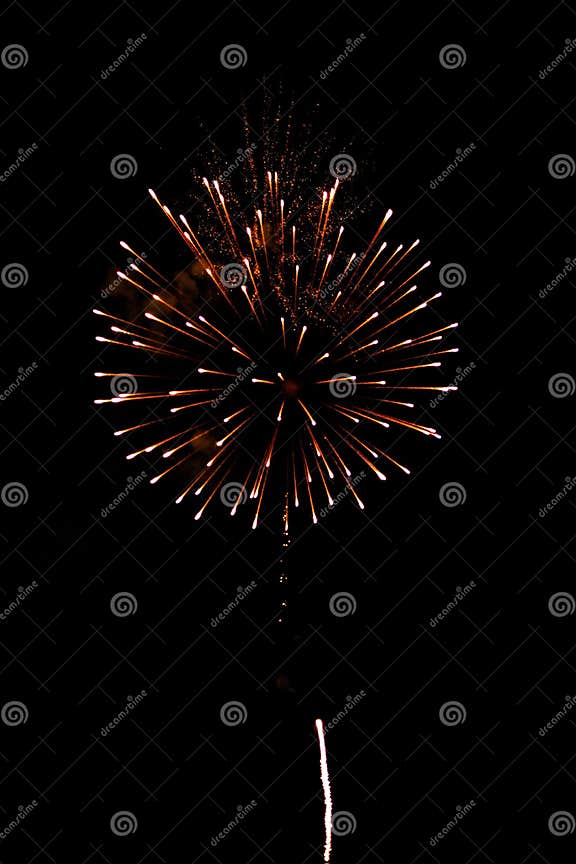 Vertical Shot of a Red Firework Exploding in a Dark Sky Stock Image ...