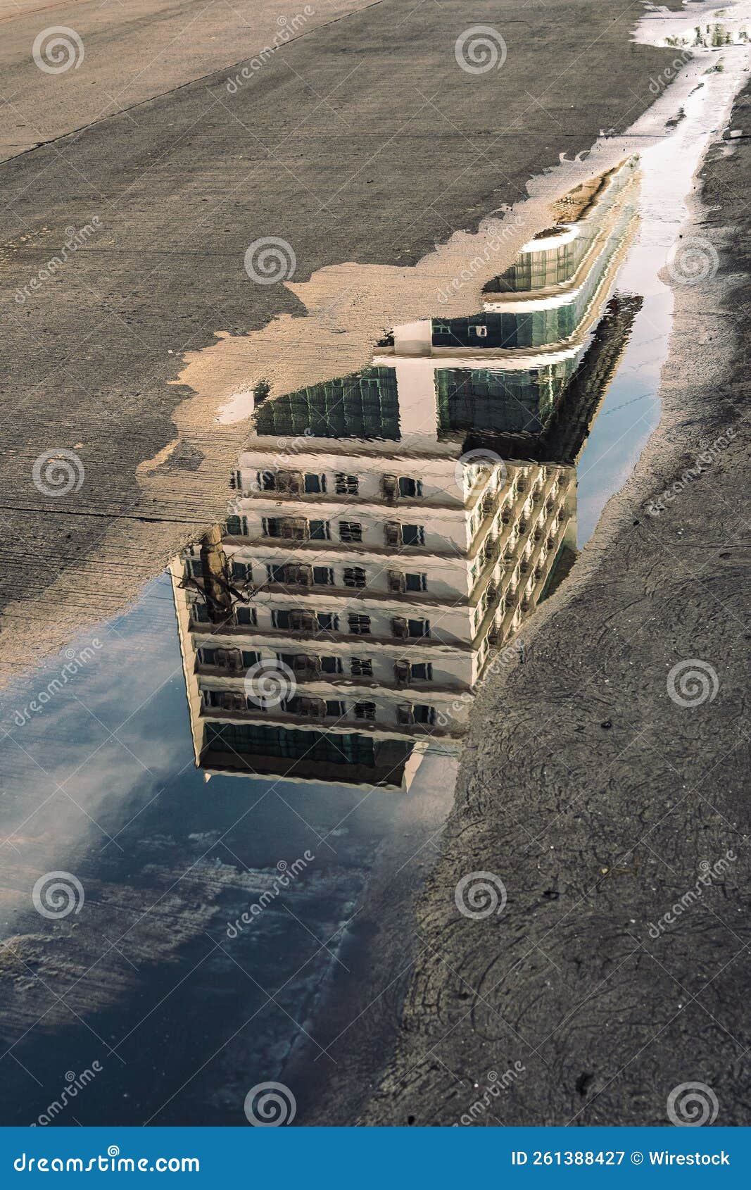 Vertical Shot of a Reflection of a Building in a Puddle on a Road in ...