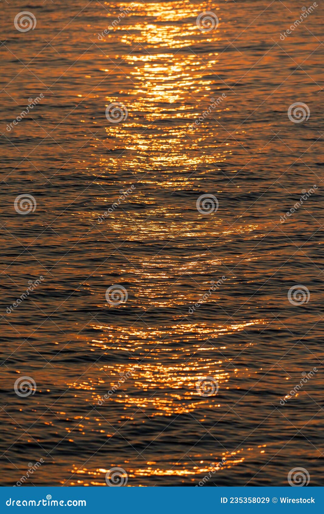 Vertical Shot of the Reflection of the Sun on a Sea Surface Stock Image ...