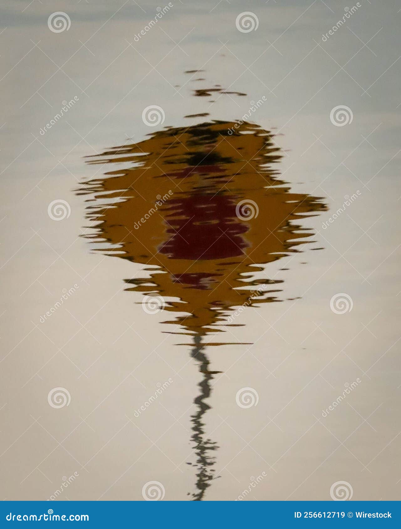 Vertical Shot of a Reflection in Water Stock Image - Image of muted ...