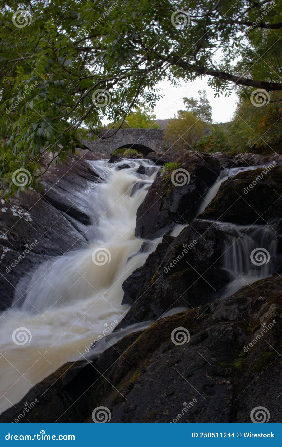 Vertical Shot of a River Flowing in a Forest Down the Rocks in Daylight ...
