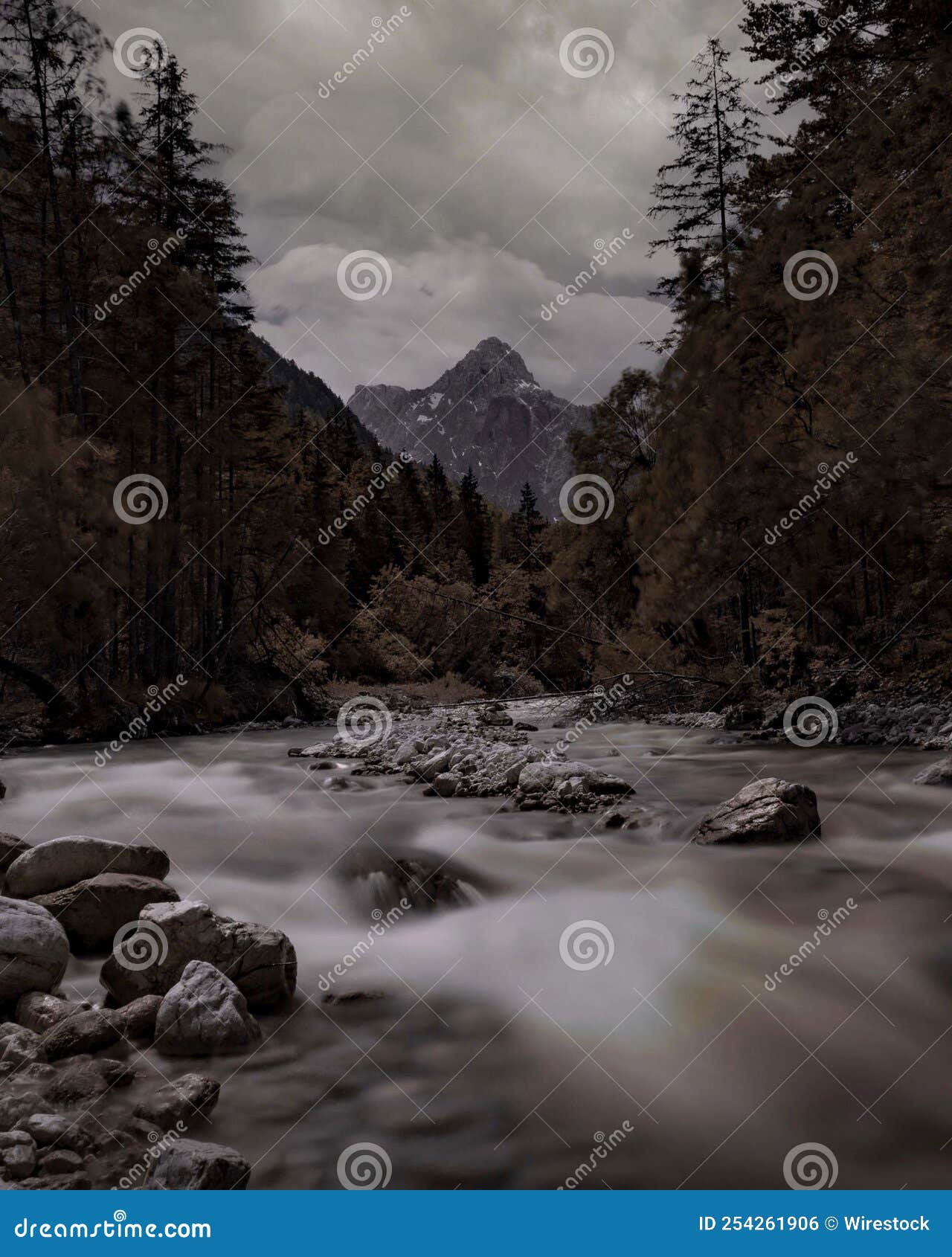 Vertical Shot of a River Flowing in a Forest Surrounded by Wild Nature ...