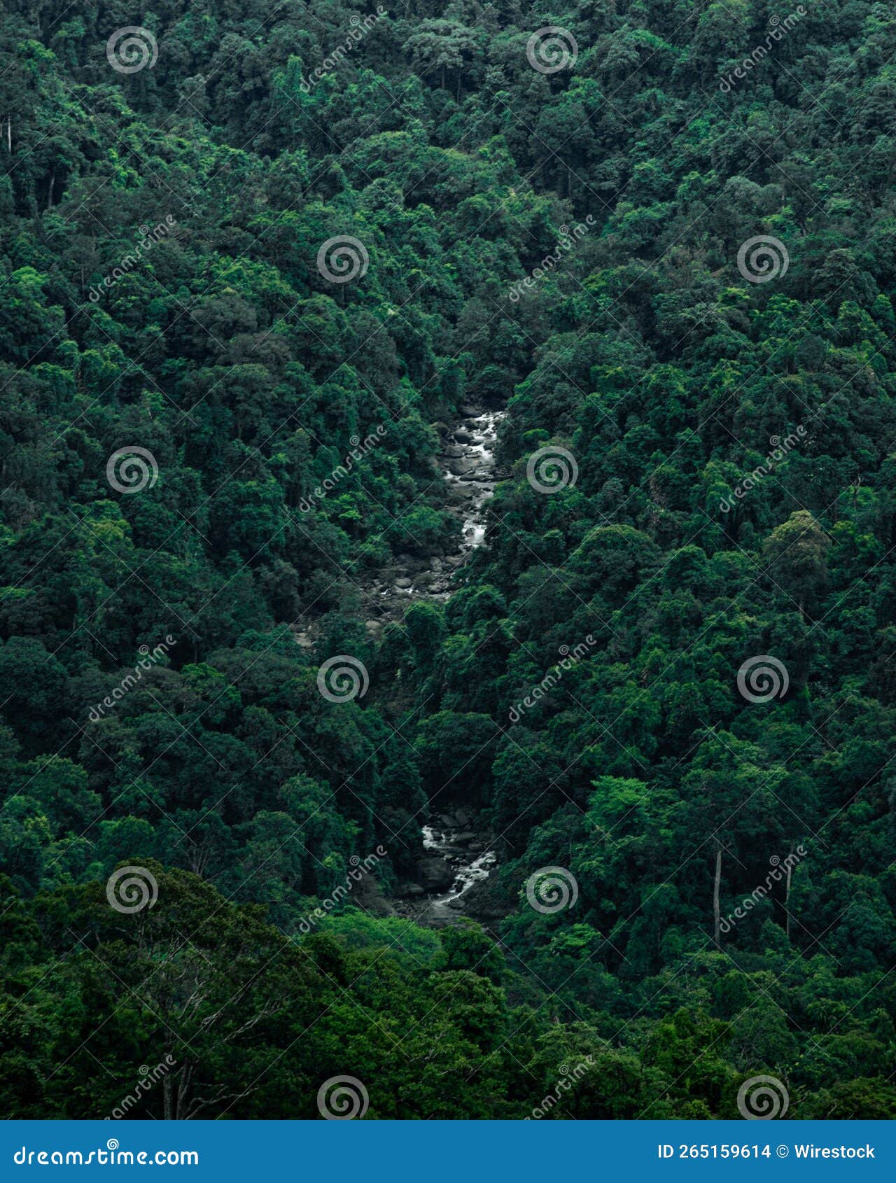 Vertical Shot of a River Flowing through a Mountain Range Covered with ...