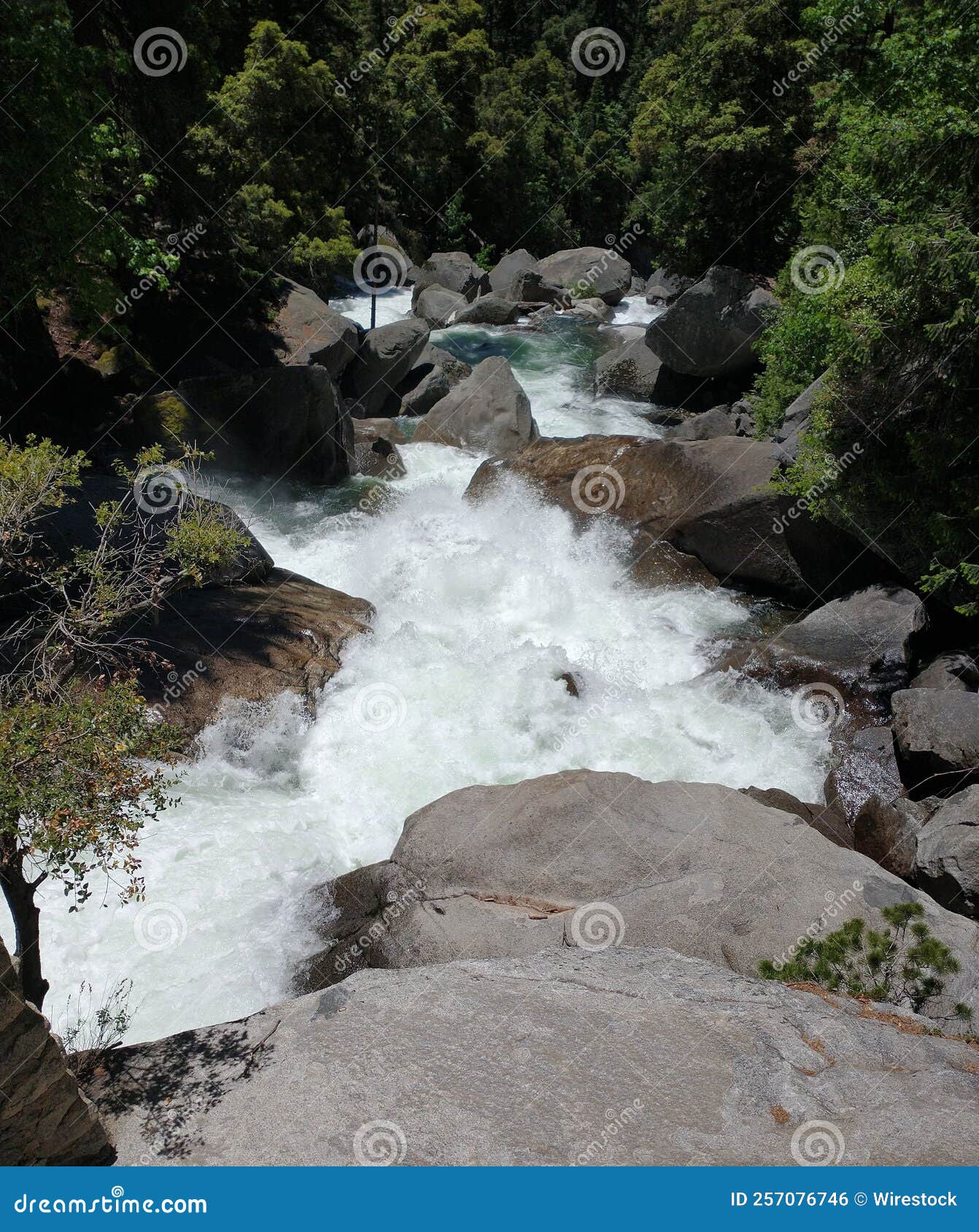 Vertical Shot of a River Passing through a Valley Filled with Trees and ...