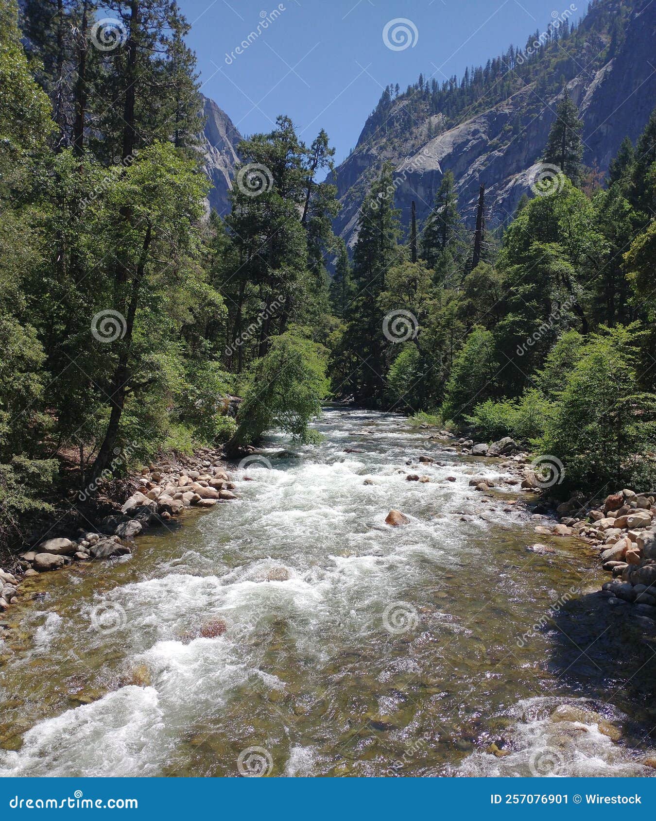 Vertical Shot of a River Passing through a Valley Filled with Trees and ...