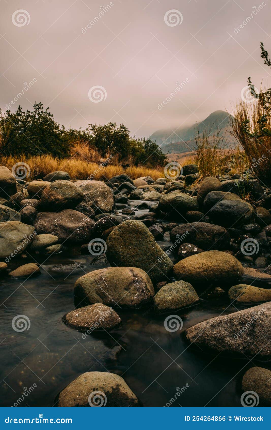 Vertical Shot of a River with Rocks in a Beautiful Fall Scenery with a ...