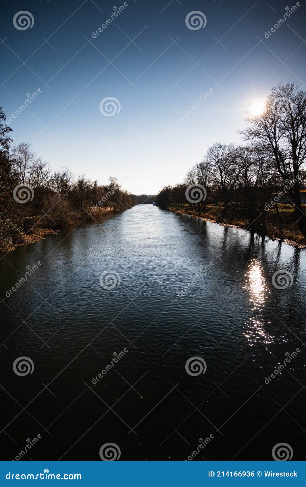 Vertical Shot of a River Stream Surrounded by Trees Stock Photo - Image ...
