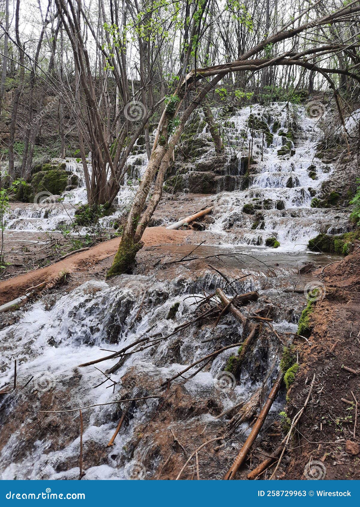 Vertical Shot of a River Streaming Down the Slope of a Hill Stock Image ...