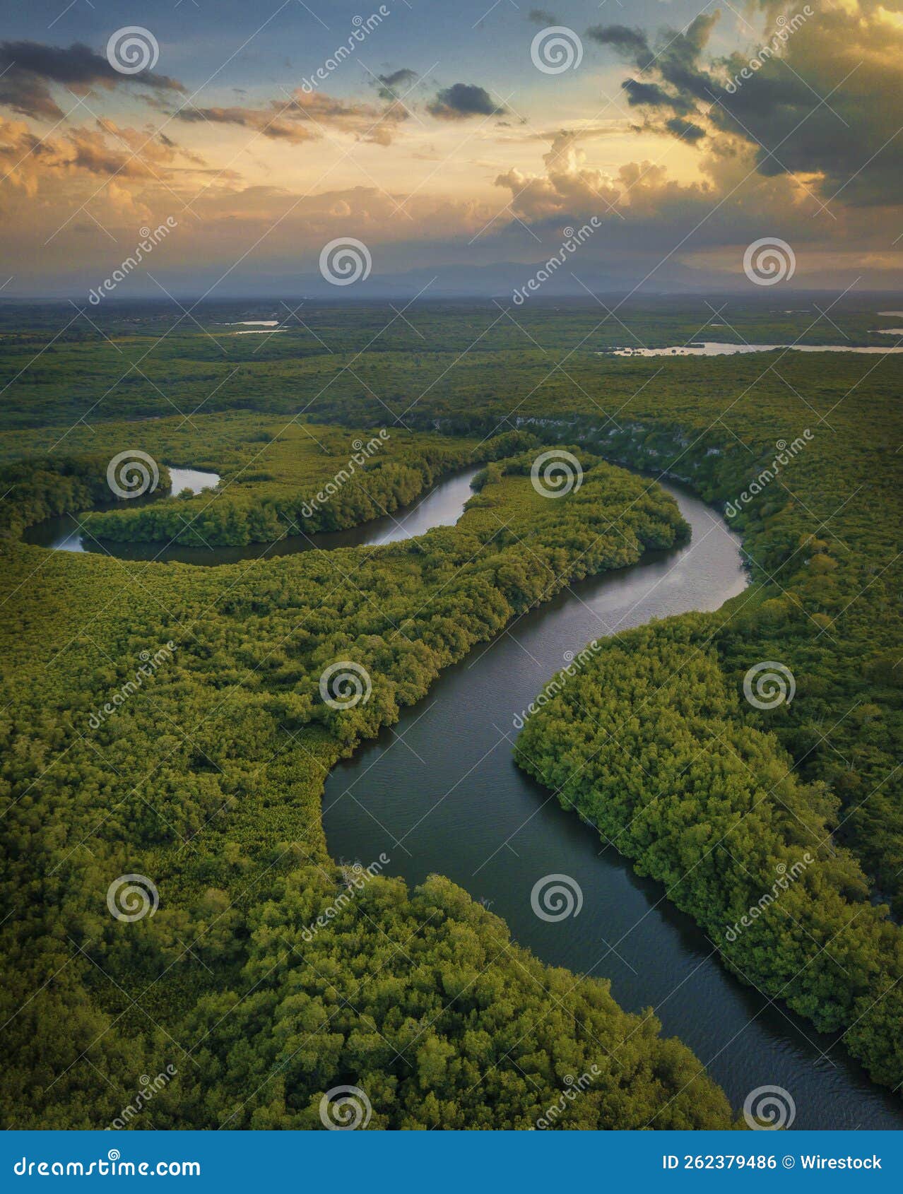Vertical Shot of a River Surrounded by Greenery Under the Sunlight in ...
