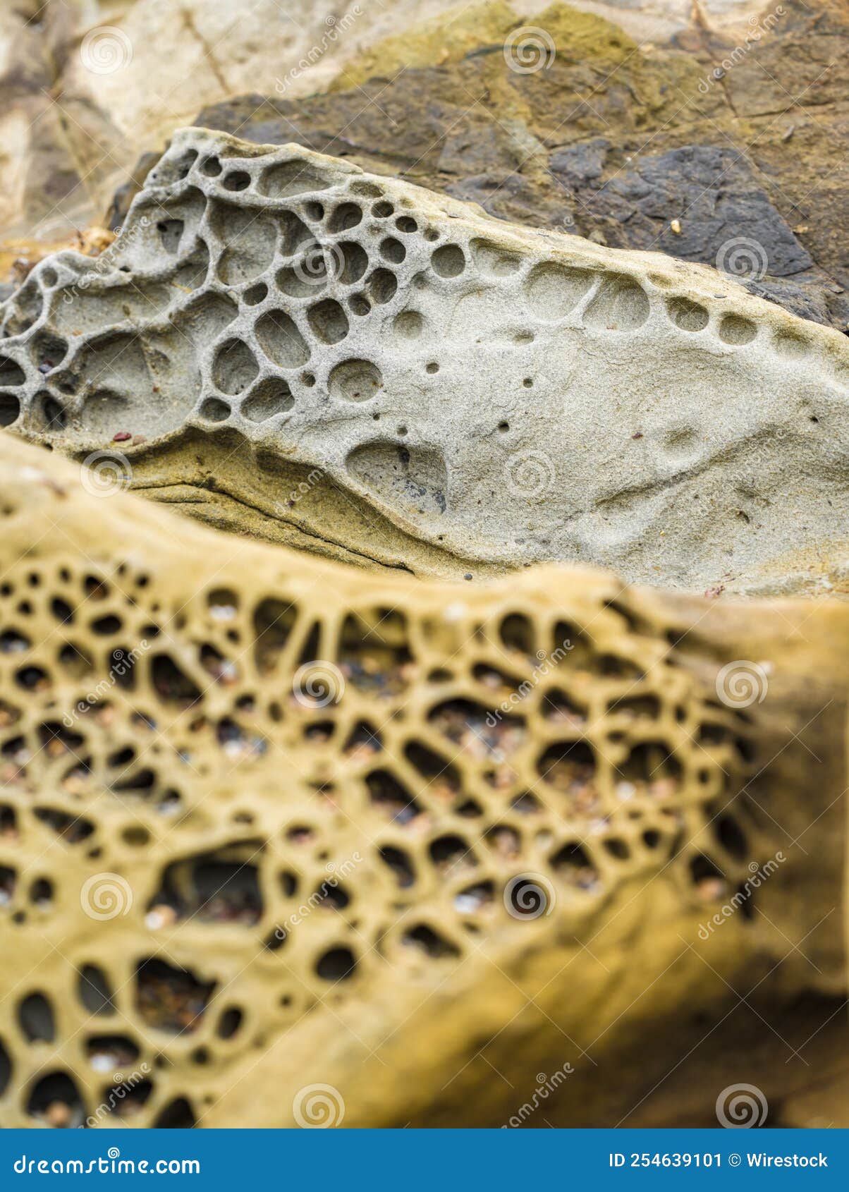 Vertical Shot of Rock Formation with Hundreds of Holes with Tiny Pebble ...