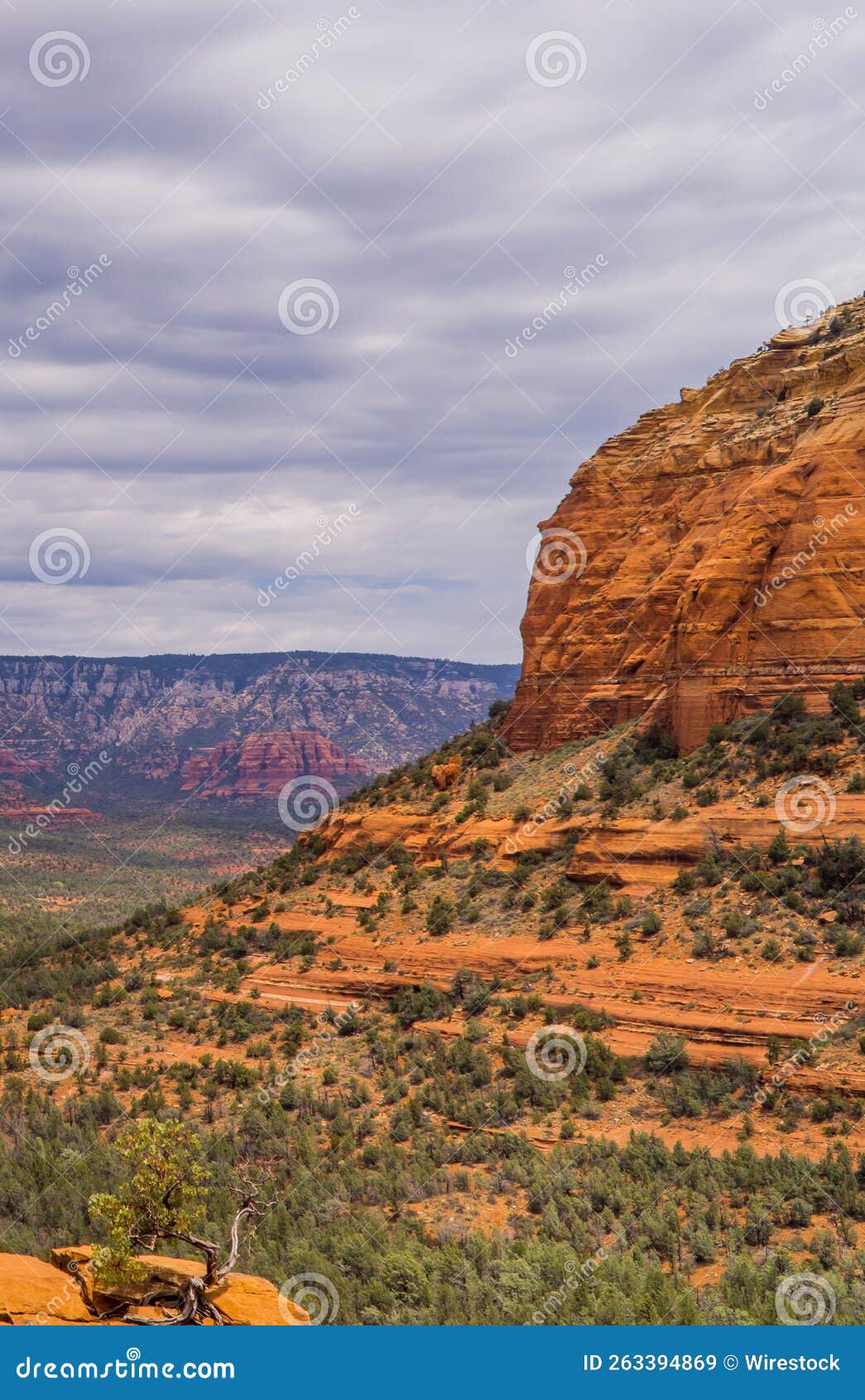 Vertical Shot of Rock Formations Stock Image - Image of greenery, stone ...