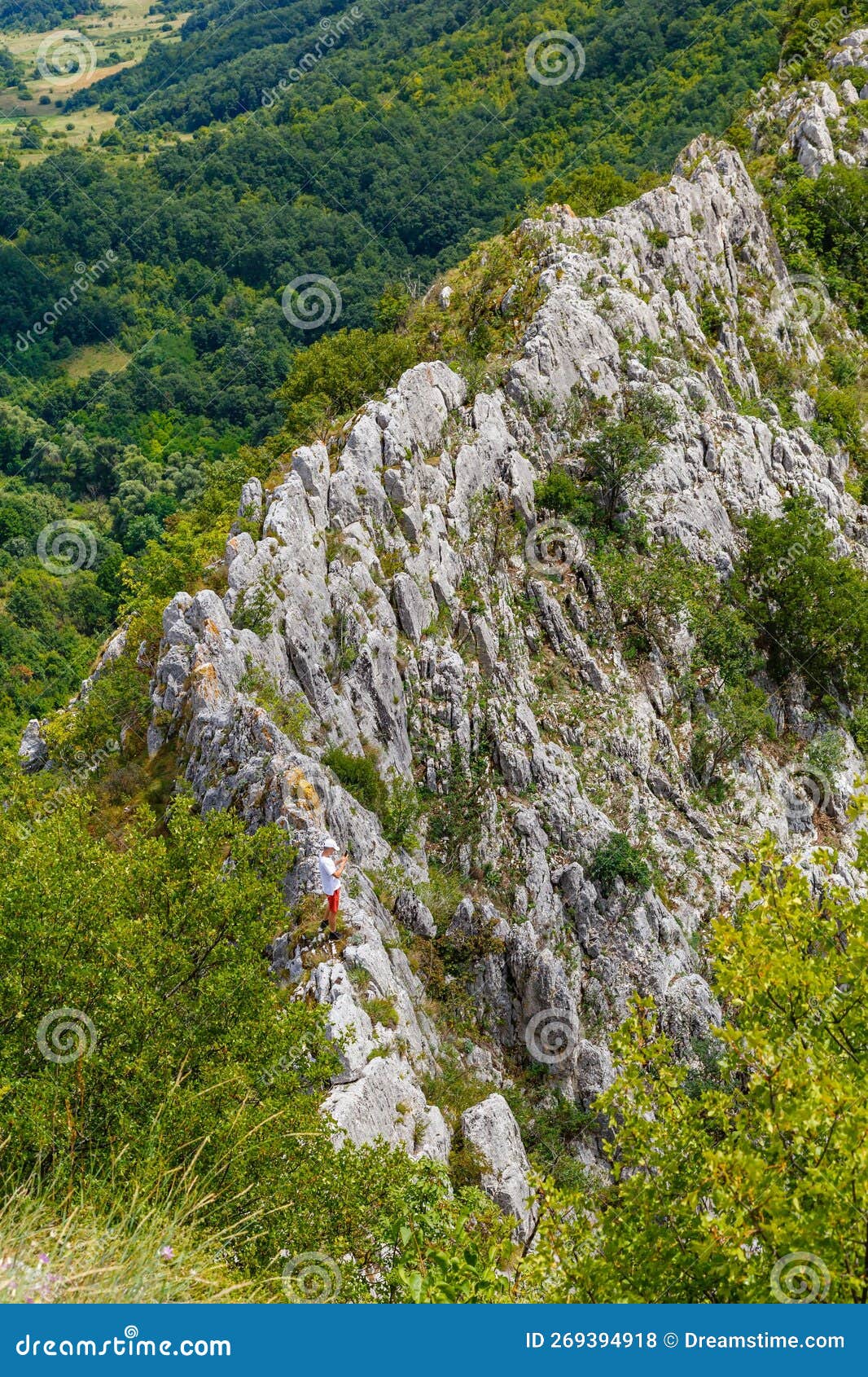 Vertical Shot of Rock Formations Overgrown with Green Vegetation Stock ...