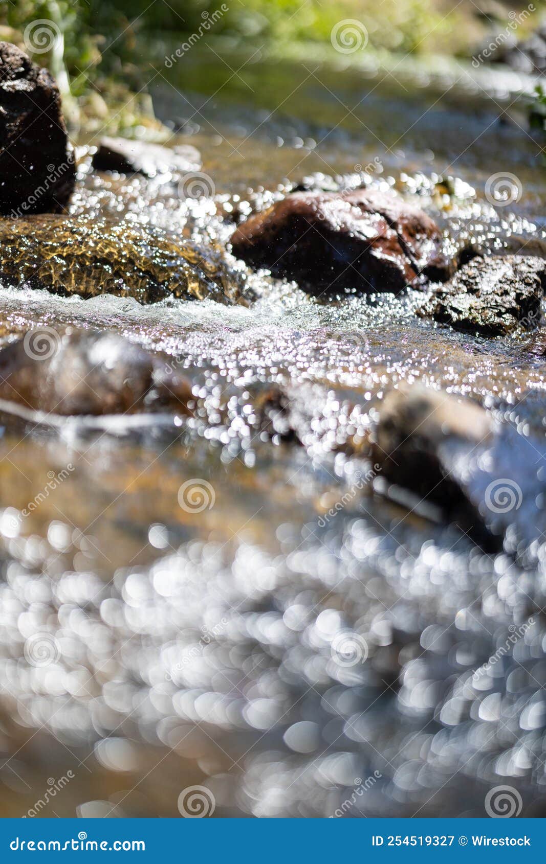 Vertical Shot of the Rocks in a Water Stream Stock Image - Image of ...