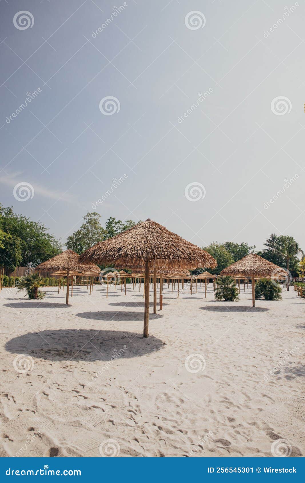 Vertical Shot of Rows of Thatch Umbrellas in the Park. Stock Image ...