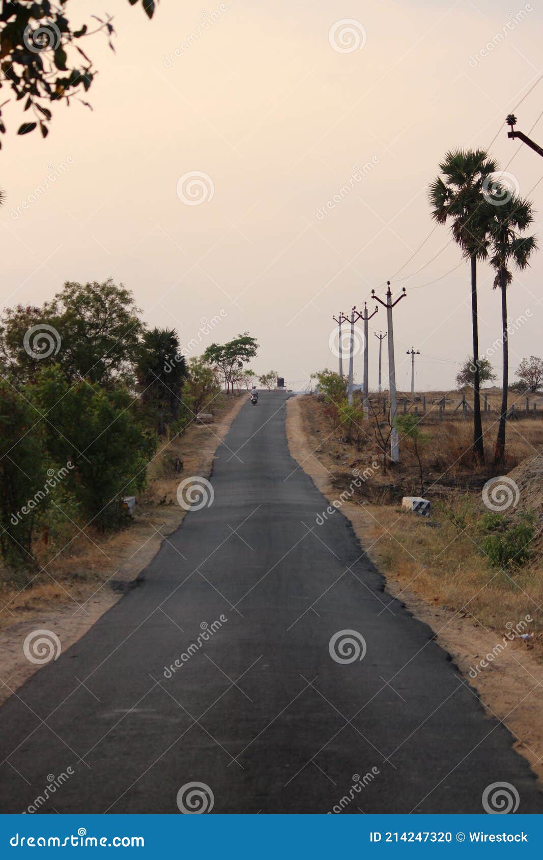 Vertical Shot of a Rural Asphalt Road Surrounded by Trees and Fields ...