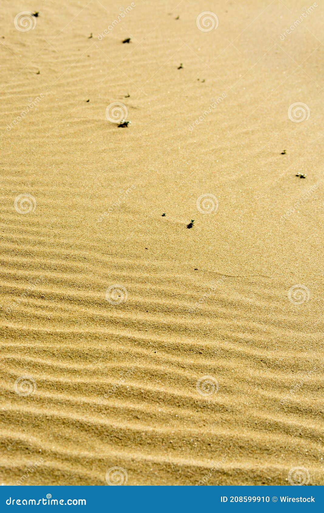Vertical Shot of the Sand Dunes Stock Photo - Image of high, shot ...