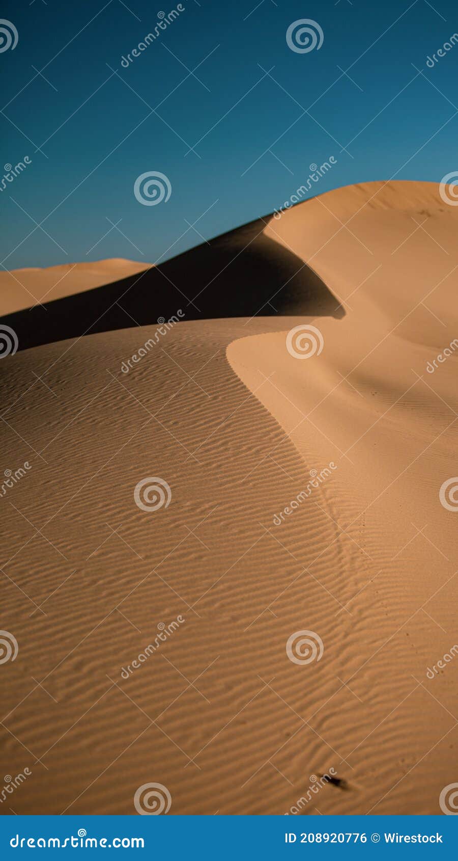 Vertical Shot of Sand Dunes in a Desert Stock Photo - Image of natural ...