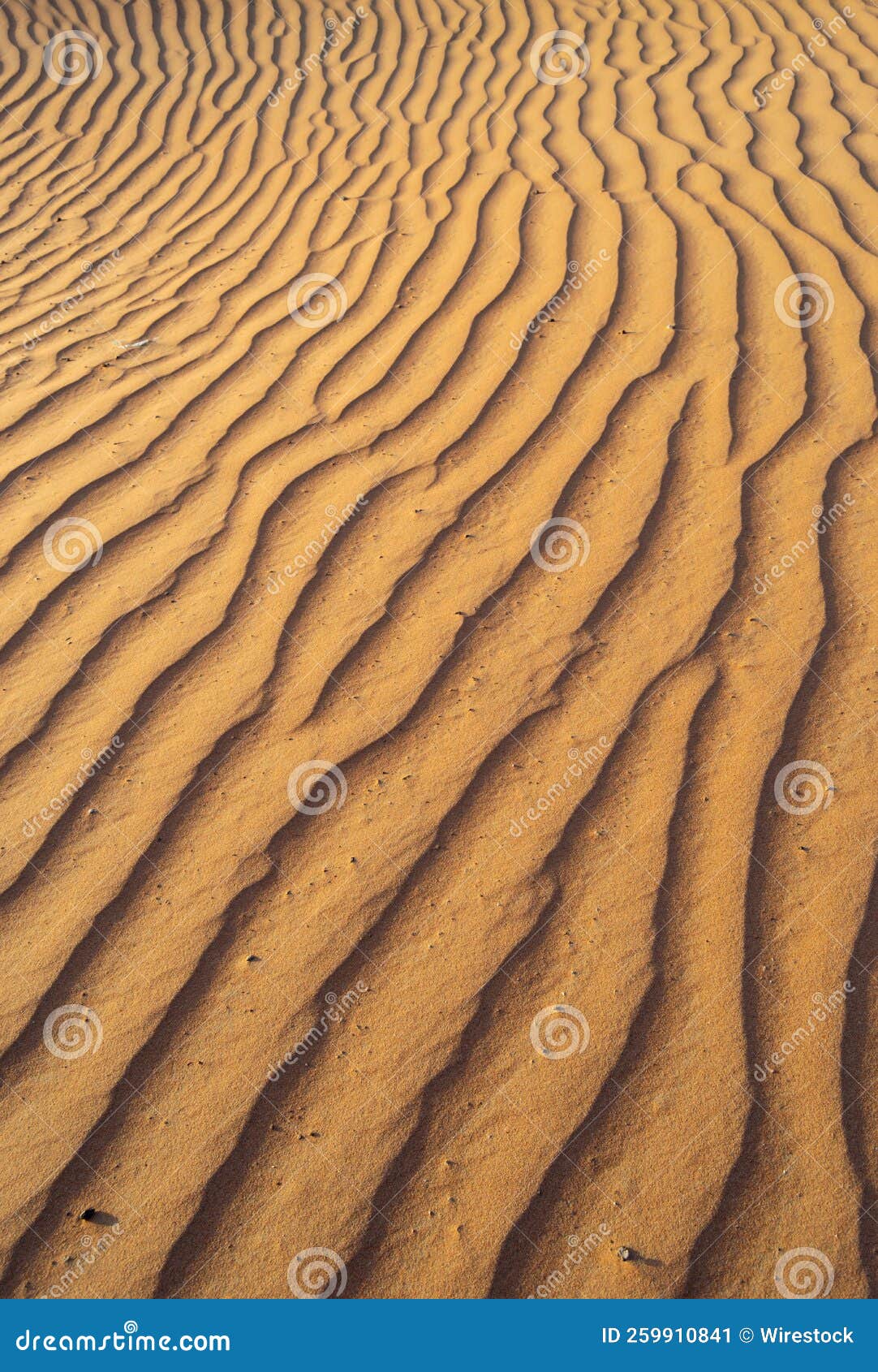 Vertical Shot of the Sand Texture in the Desert Stock Image - Image of ...