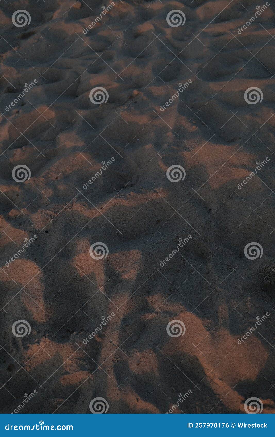 Vertical Shot of a Sandy Beach Texture in Sunny Weather Stock Photo ...
