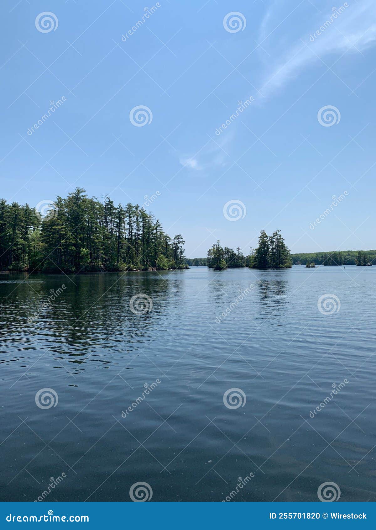 Vertical Shot of a Scenic Lakeside with Greenery Under the Blue Sky ...