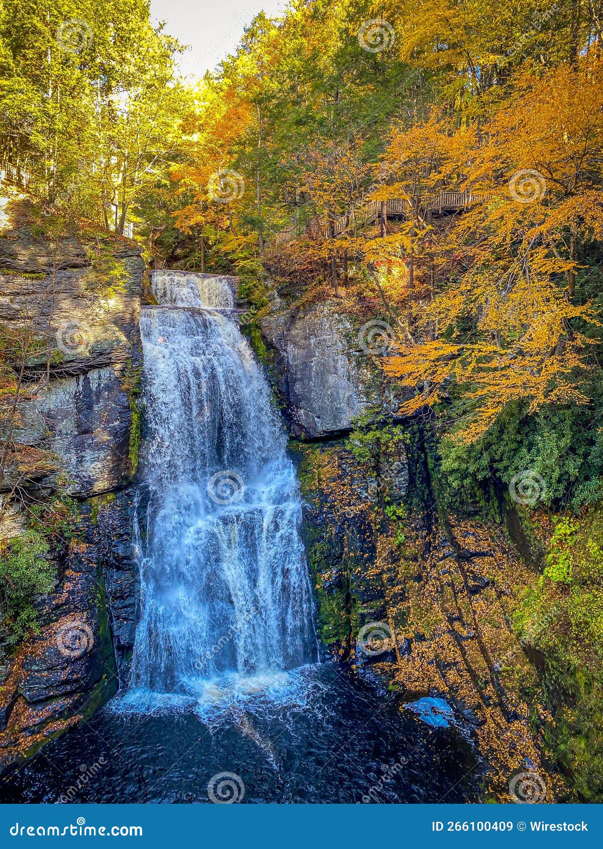 Vertical Shot of a Scenic Waterfall in the Beautiful Fall Forest Stock ...