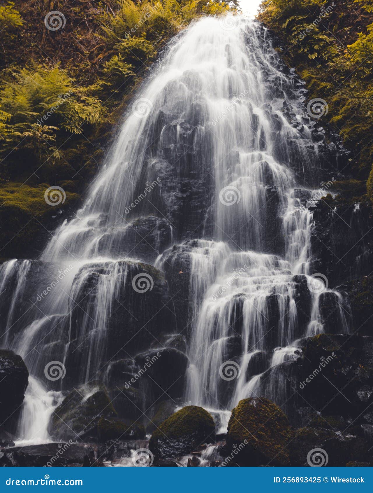 Vertical Shot of a Scenic Waterfall in a Forest Stock Image - Image of ...
