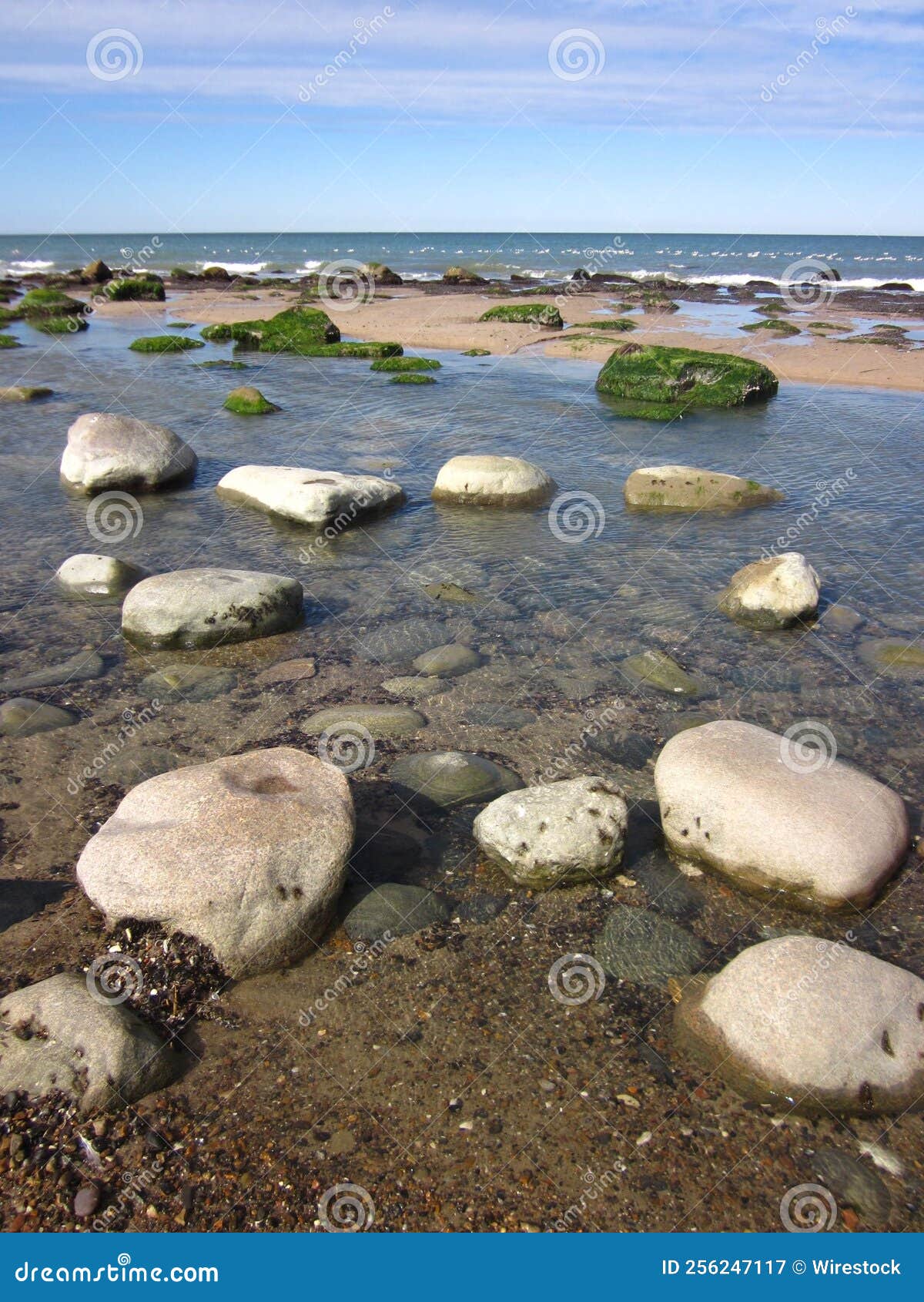 Vertical Shot of a Sea Shore with Rocks Stock Image - Image of summer ...