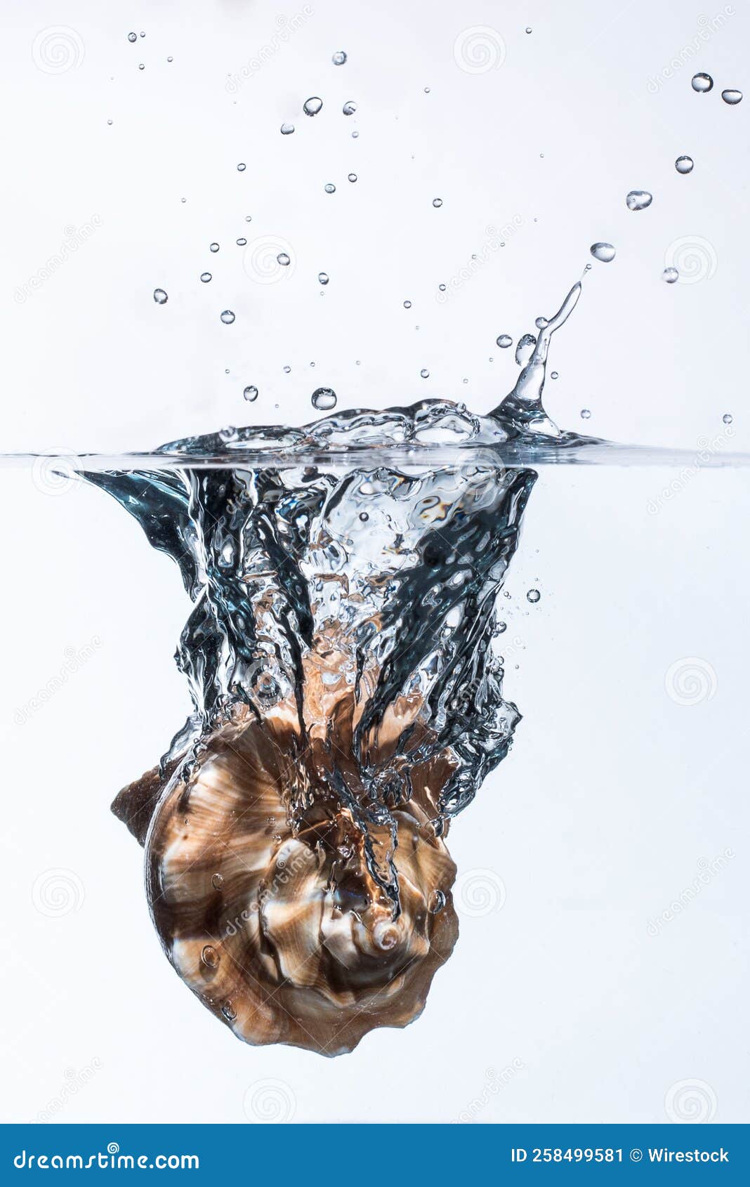 Vertical Shot of a Seashell Falling into Water with a Splash Stock ...