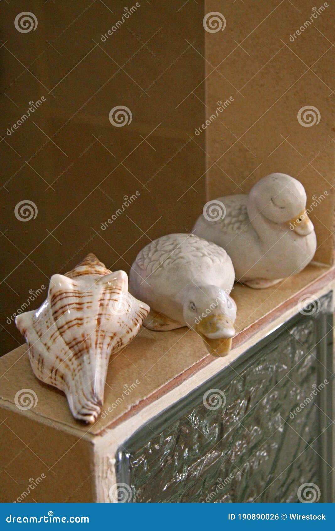 Vertical Shot of Seashells Display on the Bathroom Stock Photo - Image ...