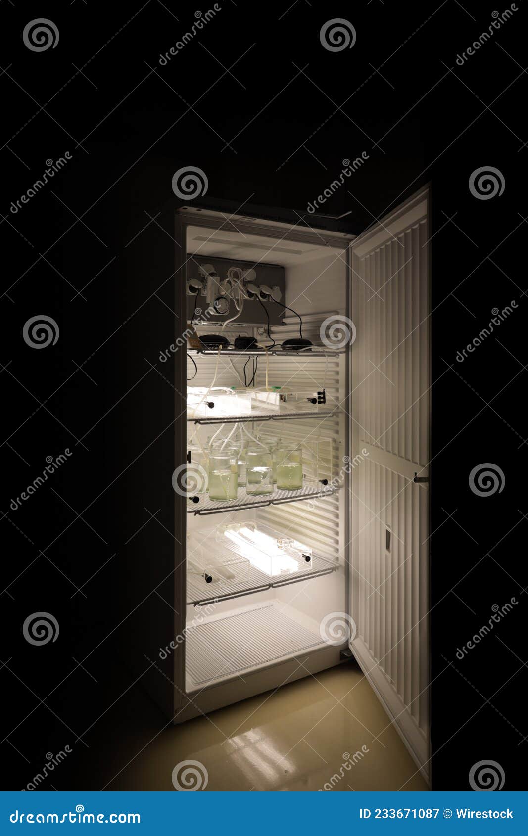 Vertical Shot of Seedlings on a Freezer in a Laboratory Stock Image ...