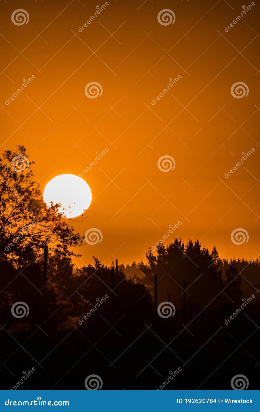 Vertical Shot of the Setting Sun in the Golden Sky Behind the ...