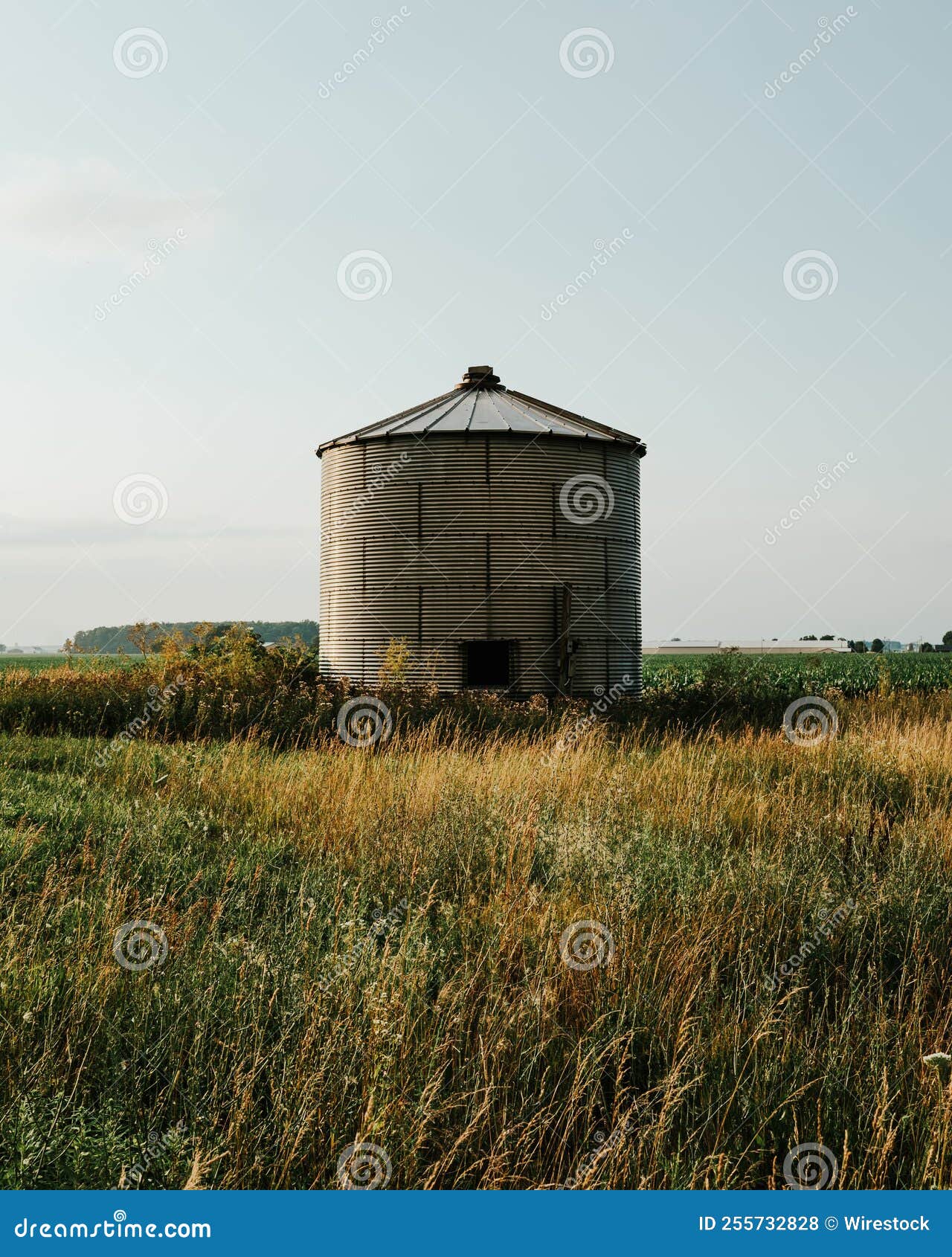 Vertical Shot of a Silo Tower on a Field Stock Photo - Image of silo ...