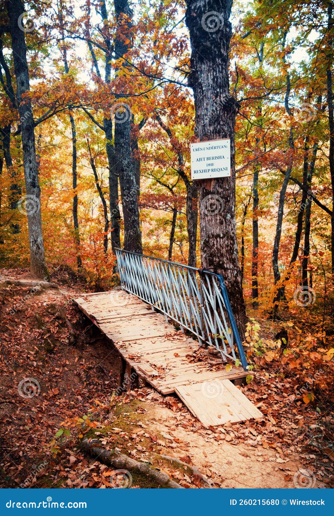 Vertical Shot of a Simple Bridge To Cross in the Forest Editorial Image ...